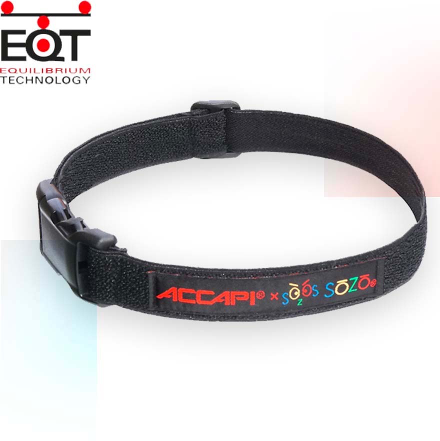 ペットメディケーション ACCAPI® x SOZO® EQT 【公式】